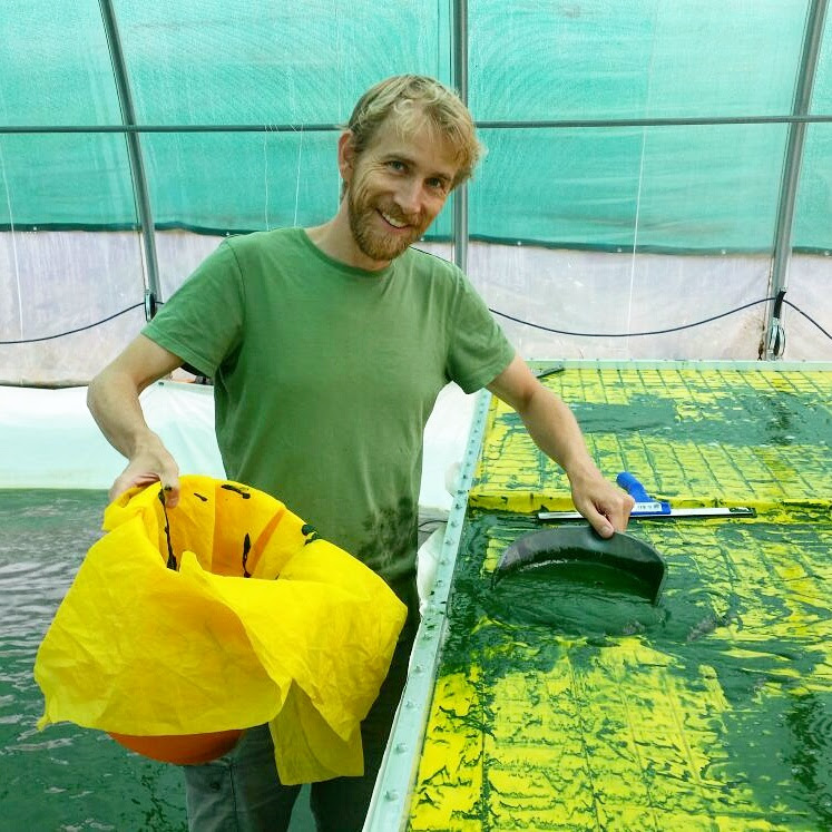 AKAL Food – Spirulina nährt, stärkt und befreit – Autarkia - Green ...