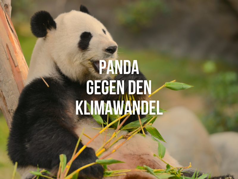 WWF: Seit mehr als 60 Jahren im Einsatz für die Natur – Autarkia ...